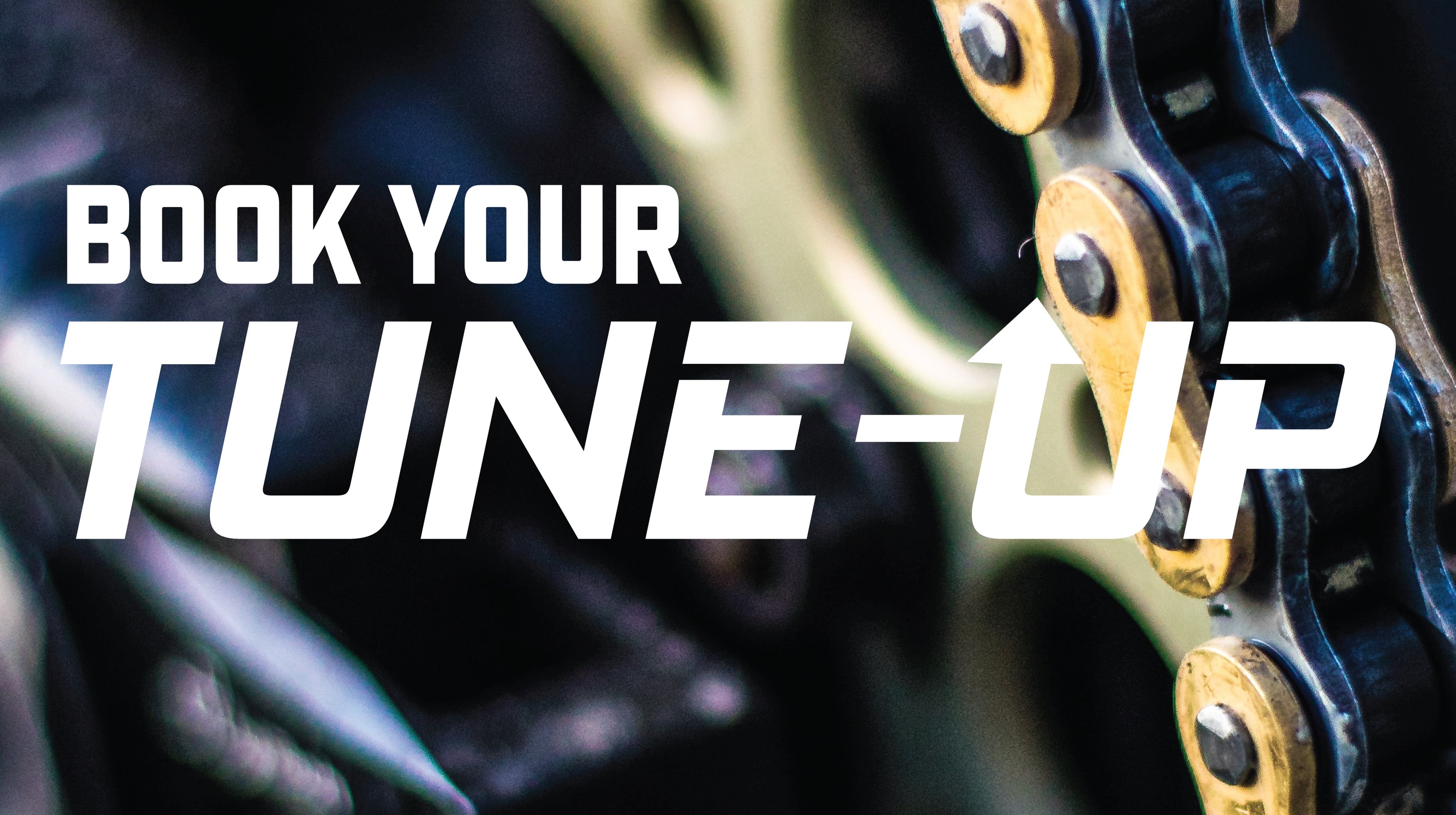 Front Row Sports Excellence — Front Row Sports LTD